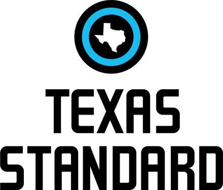 Meet the Texas Democrats vying to challenge Lt. Gov. Dan Patrick in ...