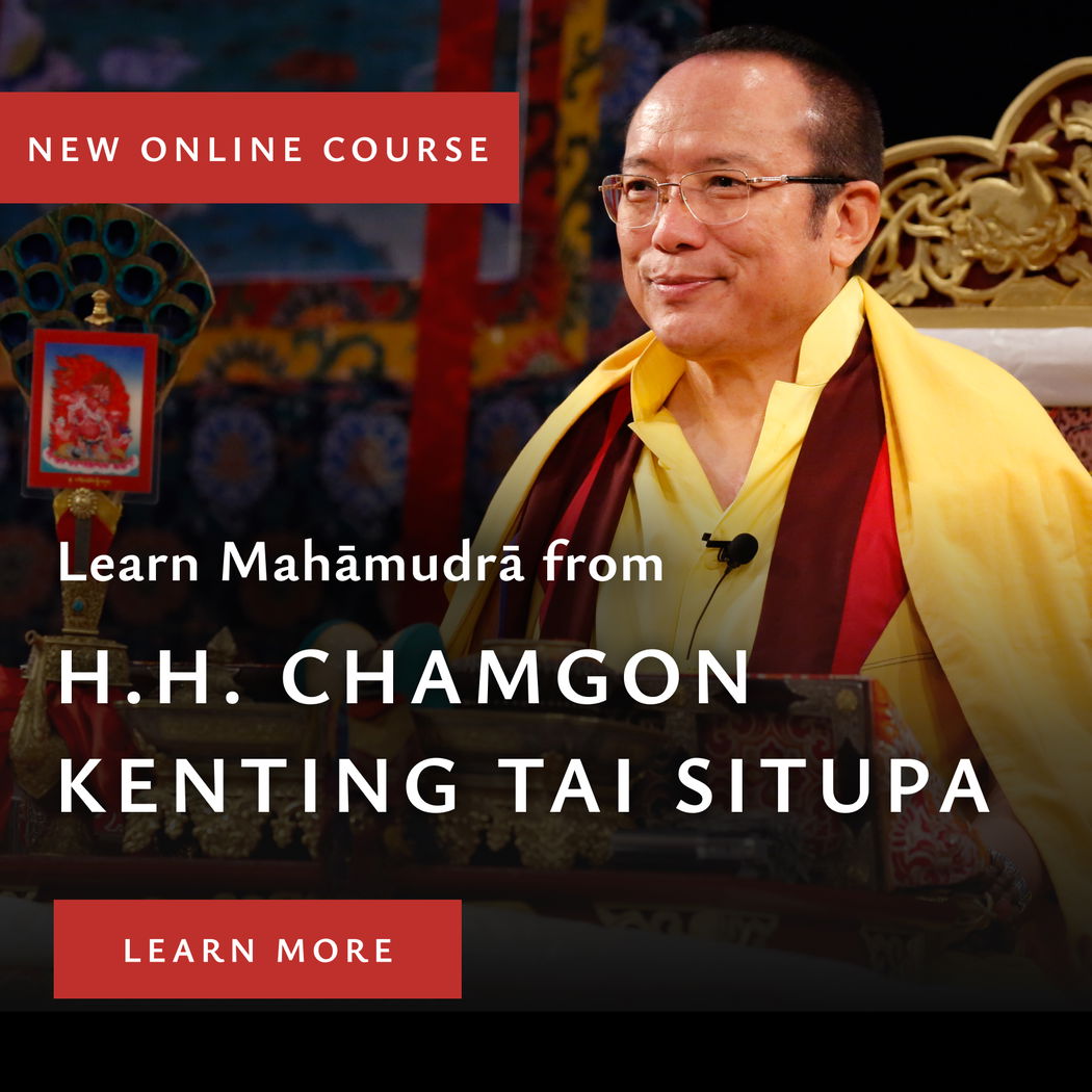 Login - The Wisdom Experience