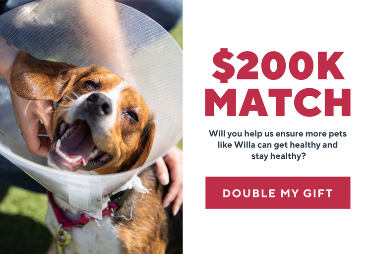 Hours & Locations - San Francisco SPCA